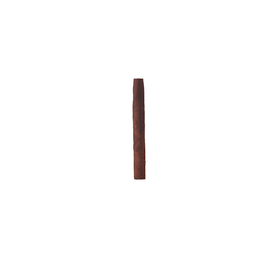 Euro Sticks Cigarillos Maduro Cigar Sampler | Famous Smoke